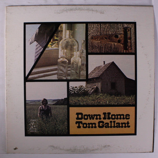 Tom Gallant - Down Home (Vinyle Usagé) – Aux 33 Tours